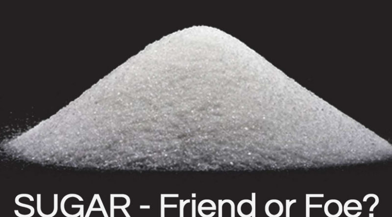 SUGAR – Friend or Foe? | DPO International