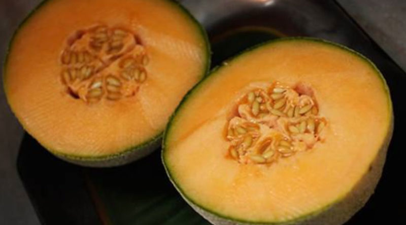 Fourth person dies in Australia from contaminated melon | DPO International