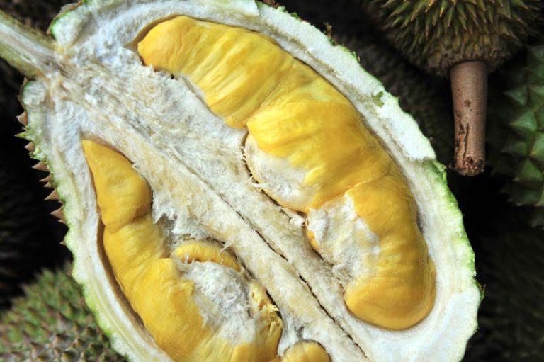 Try before Die: 10 Different Types of Durian & How to Tell Them Apart ...
