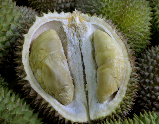 Try before Die: 10 Different Types of Durian & How to Tell Them Apart ...
