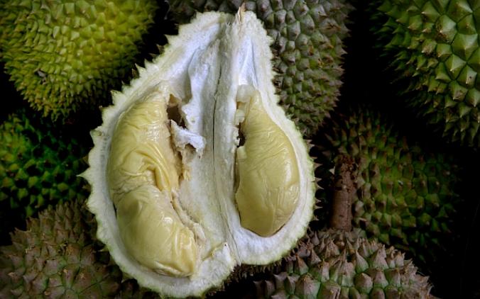 Try before Die: 10 Different Types of Durian & How to Tell Them Apart ...