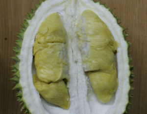 Try before Die: 10 Different Types of Durian & How to Tell Them Apart ...