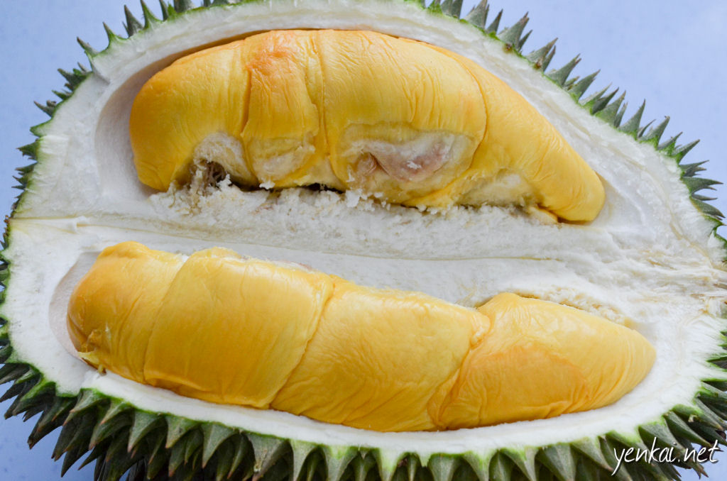 Try before Die: 10 Different Types of Durian & How to Tell Them Apart ...
