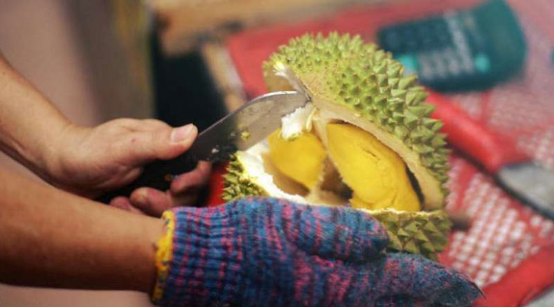 Try before Die: 10 Different Types of Durian & How to Tell Them Apart ...
