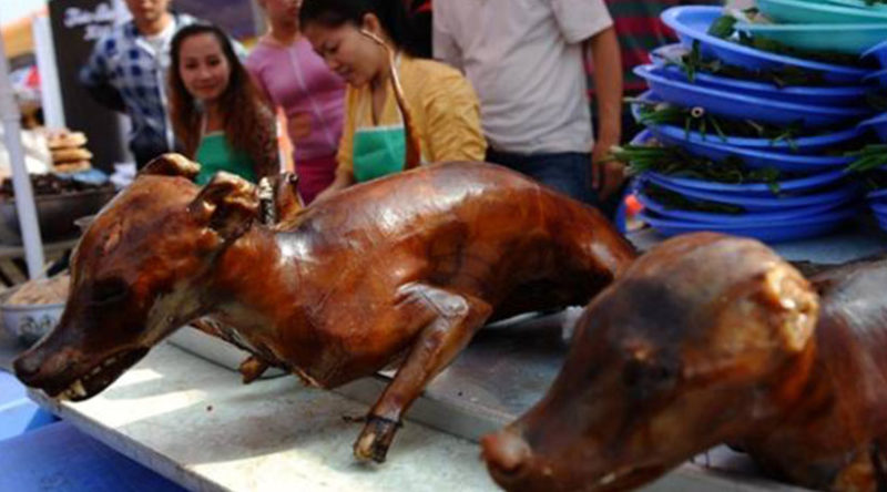 Vietnam-is-asking-its-people-to-stop-eating-dogs | DPO International