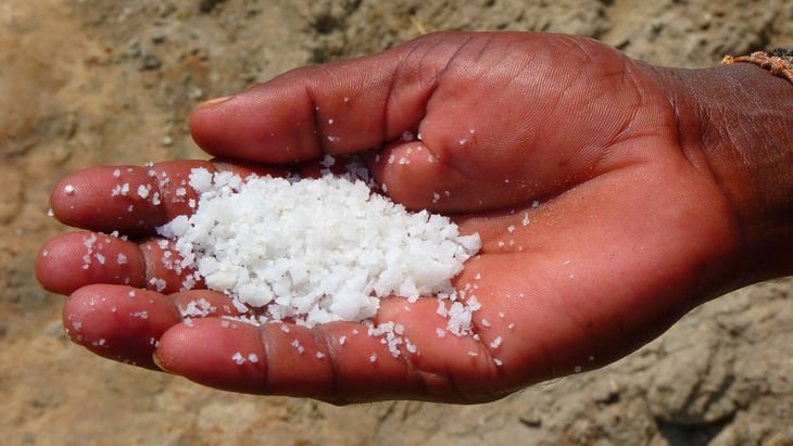 10 Stomach Churning Fake Foods from China | DPO International