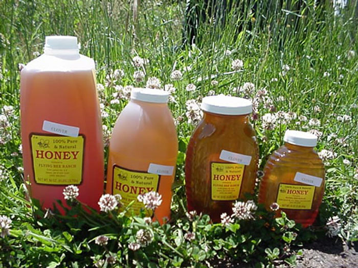 10 Types of Honey: What & Why Should You Know About Them | DPO ...