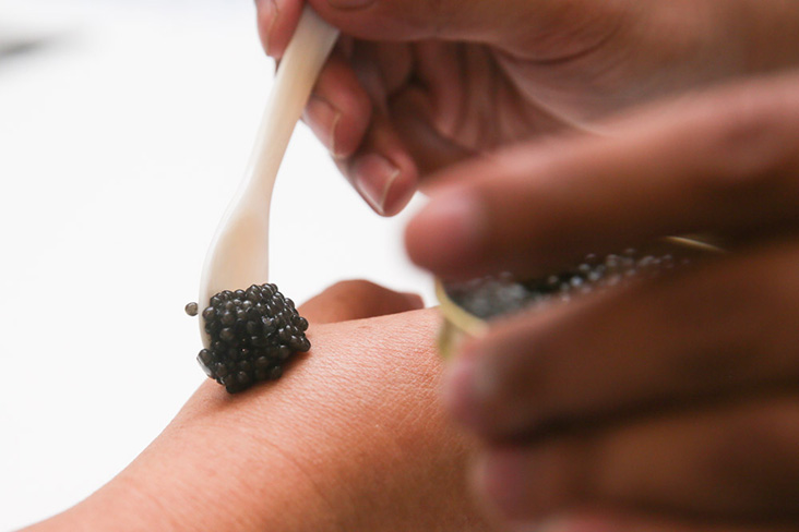 Malaysia Is Now a Producer of Caviar | DPO International