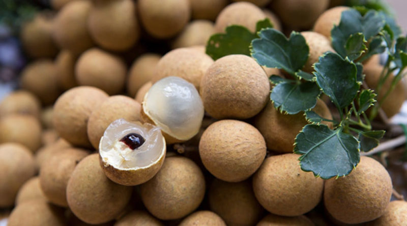 Longan in now available in Australia’s market, thanks to Vietnam | DPO ...