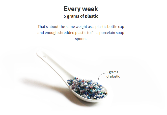 A Plate Full Of Plastics: How Much Micro Plastic Do We Consume? | DPO ...