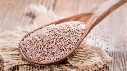 Psylliium Seed Husk | DPO International