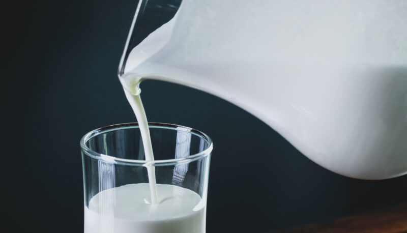 What is A2 Milk and is it Good for Digestive Health Problems? | DPO ...
