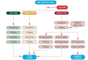 Yogurt Journey Through The Manufacturing Process | DPO International